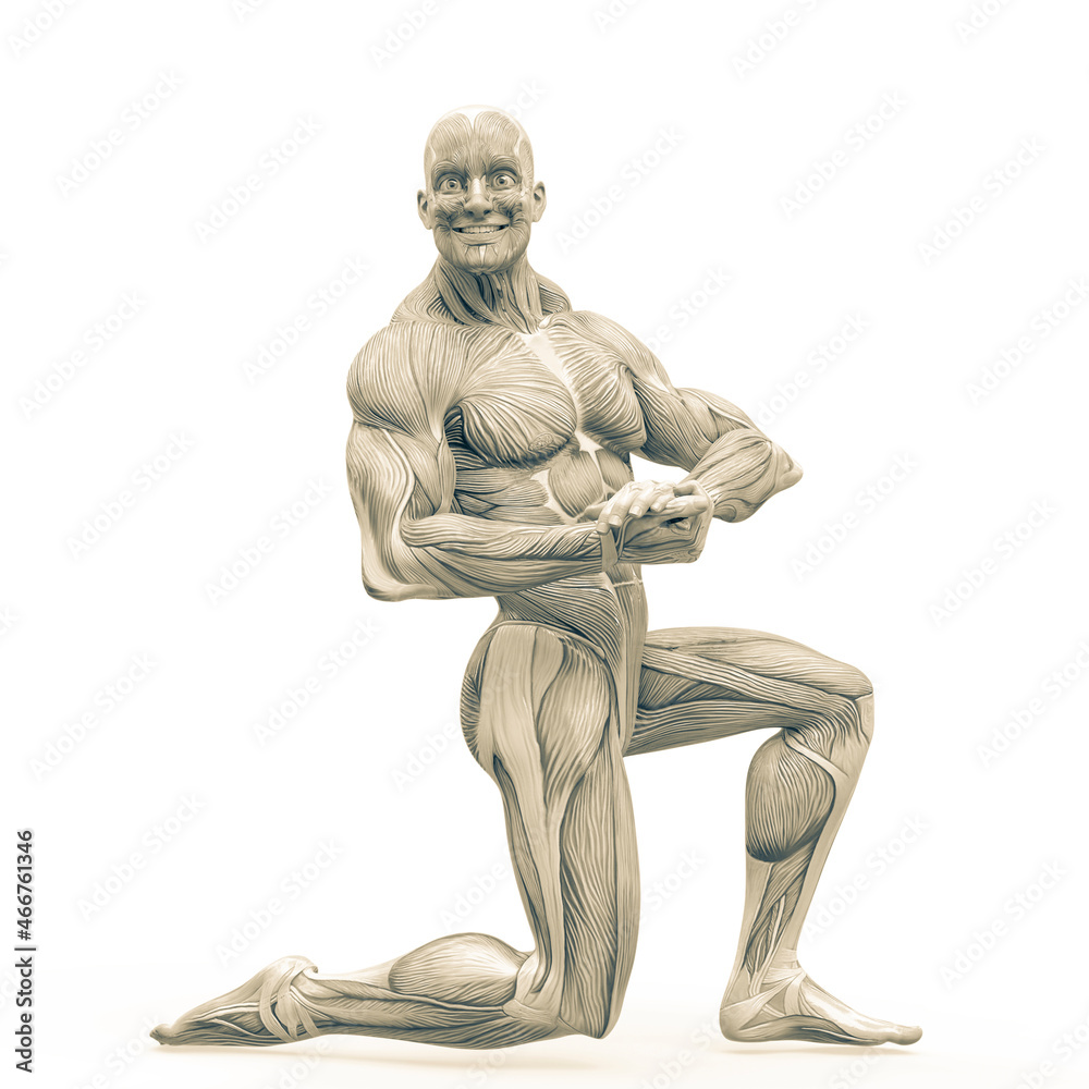 muscleman anatomy heroic body doing a bodybuilder pose five in white ...