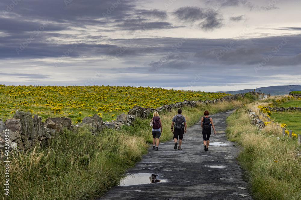 The Wild Atlantic Way, The Cliffs of Moher, The Burren Way hiking trail ...
