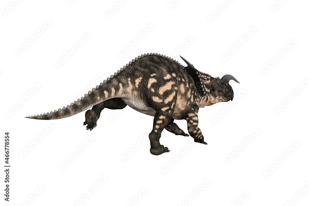 Einiosaurus in different angles and poses rendered on white background ...