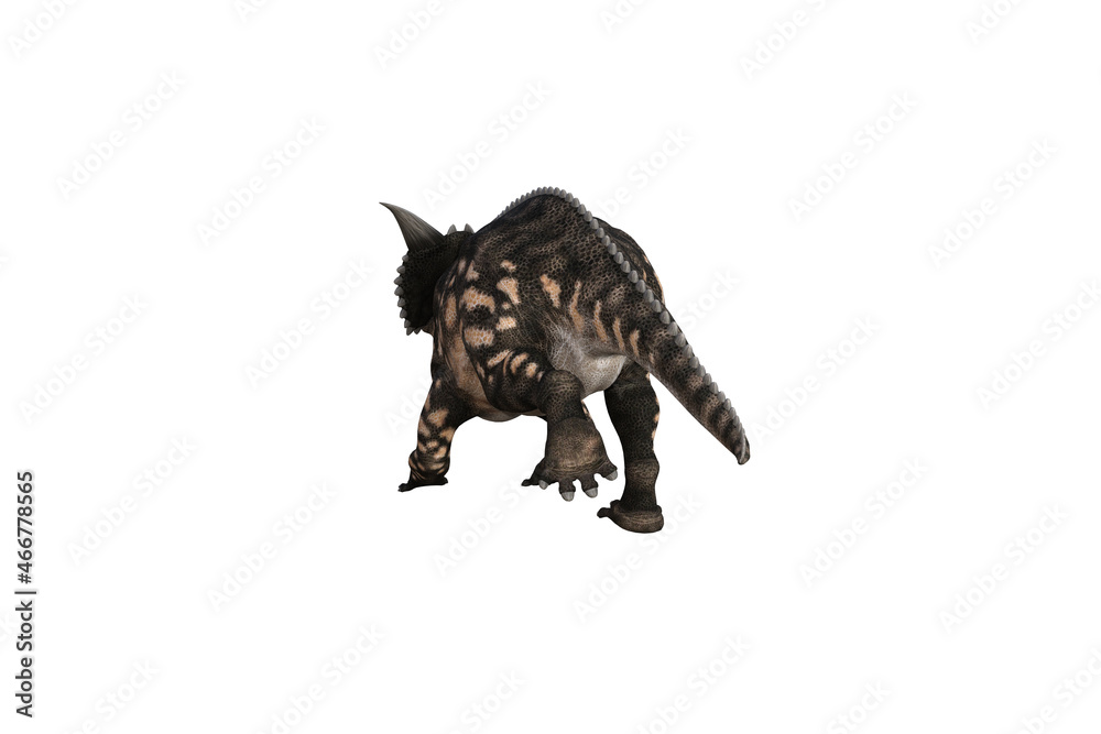 Einiosaurus in different angles and poses rendered on white background ...