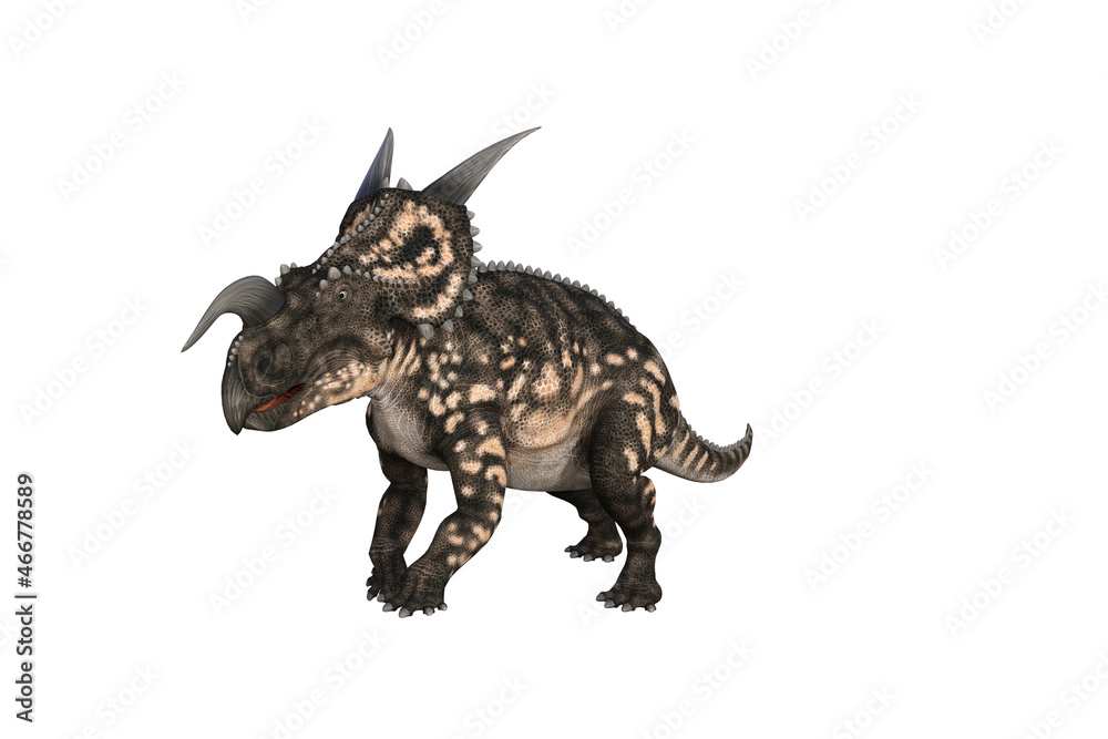 Einiosaurus in different angles and poses rendered on white background ...