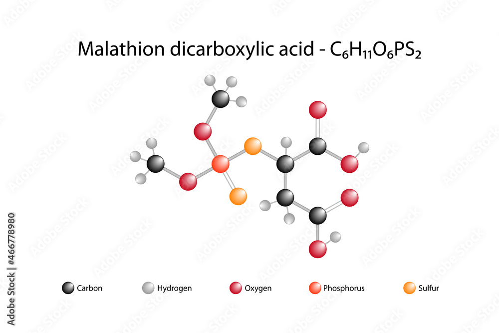 Molecular formula and chemical structure of malathion dicarboxylic acid ...