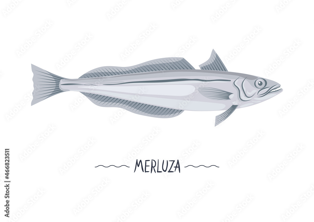 Hake fresh raw cartoon vector icon, sign, simbol, emblem. Merluza fish ...