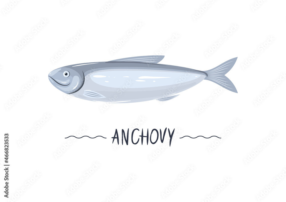 Anchovy cartoon vector icon, simbol, sign, emblem isolated on white ...