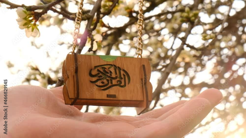 Ramadan time. Hand holds mini Quran in branches with white flowers ...