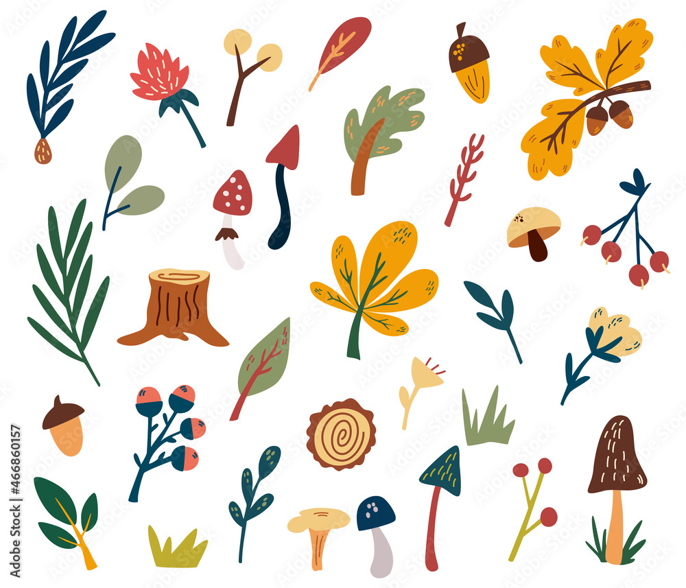 Forest plants clipart collection. Woodland trees, herbs, mushrooms ...