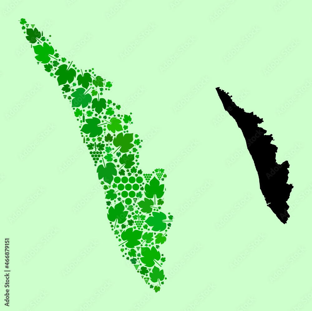 Vector Map of Kerala State. Mosaic of green grape leaves, wine bottles ...