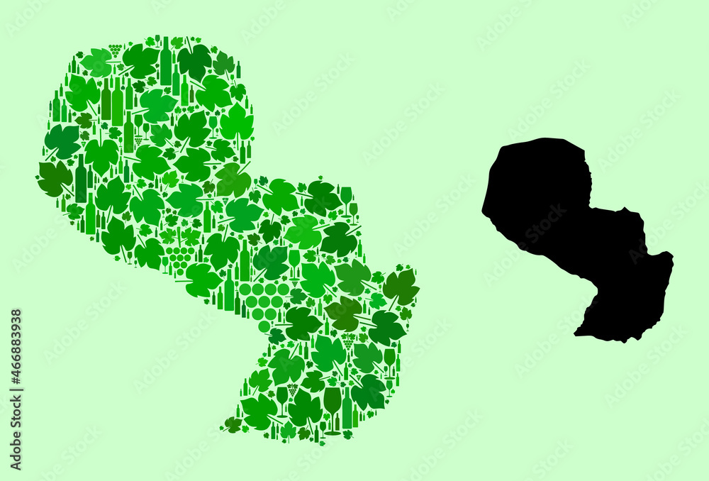 Vector Map of Paraguay. Collage of green grapes, wine bottles. Map of ...