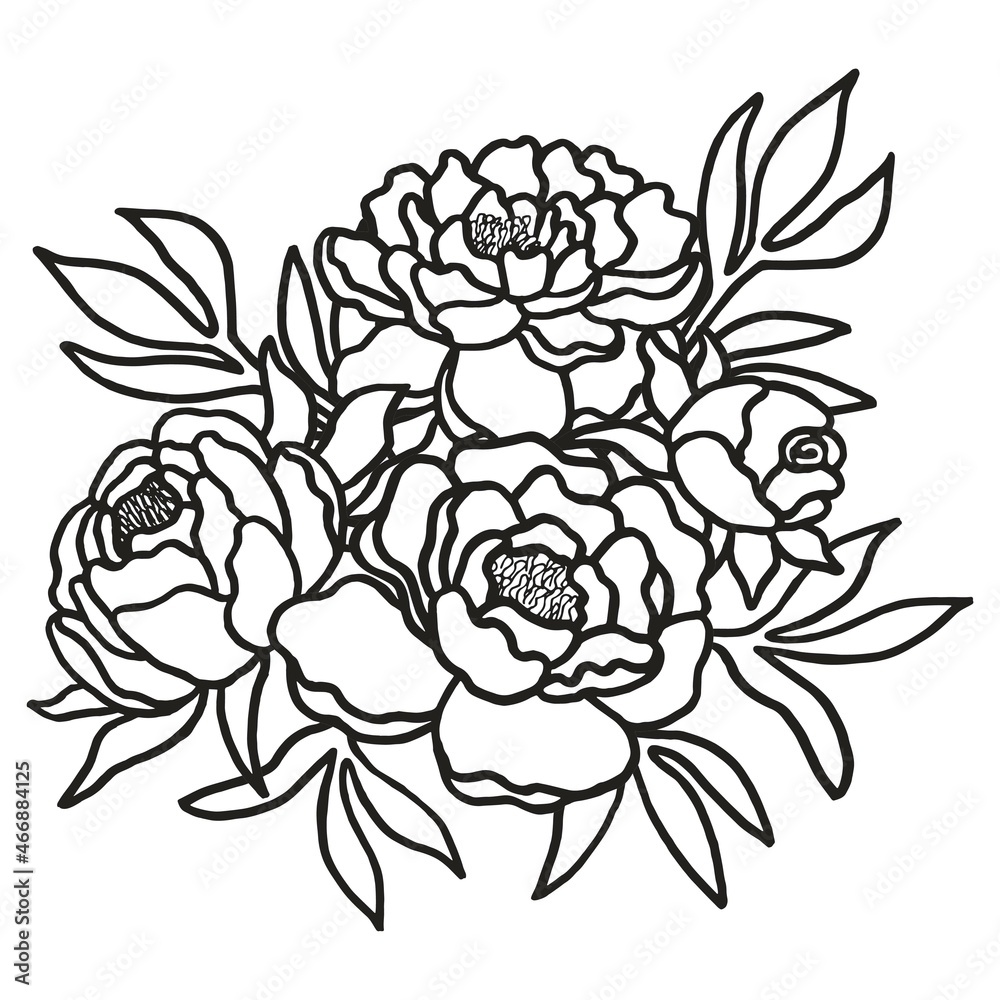 Black and white outline vector drawing of a bouquet of peonies. Simple ...