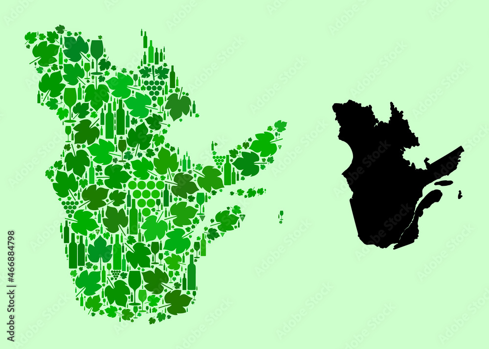 Vector Map of Quebec Province. Combination of green grape leaves, wine ...
