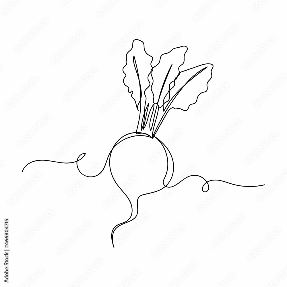 Beet Line Drawing