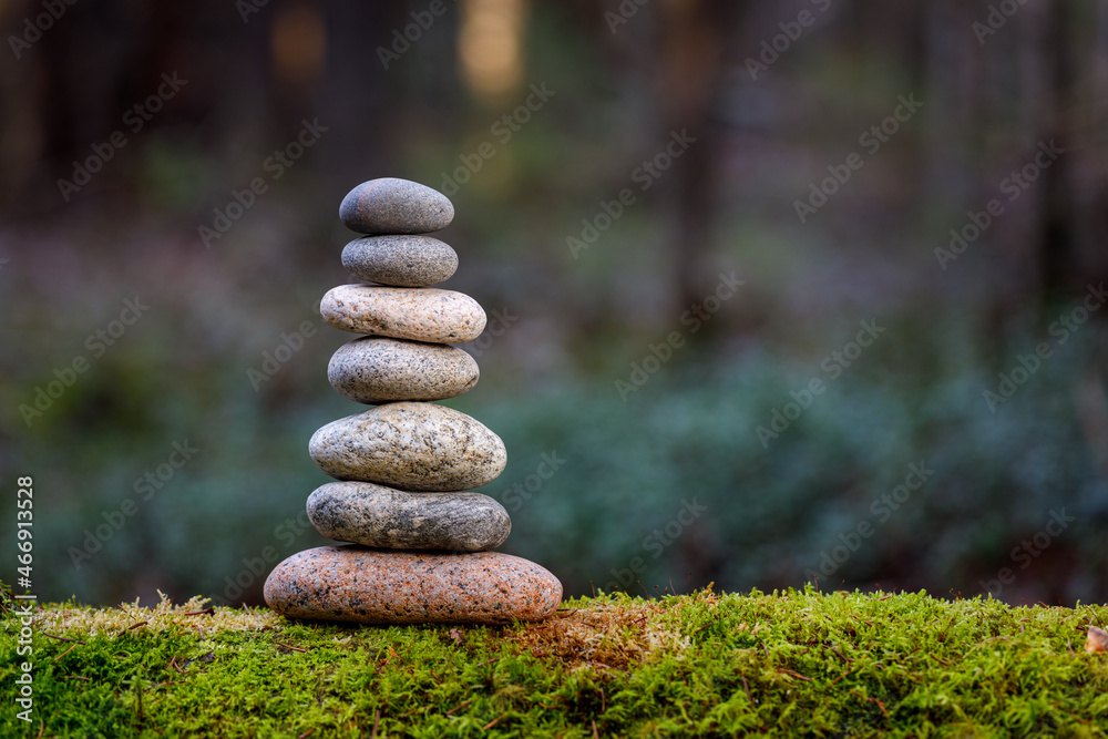 Pyramid stones balance on old mossy fallen tree. Stone pyramid in focus ...