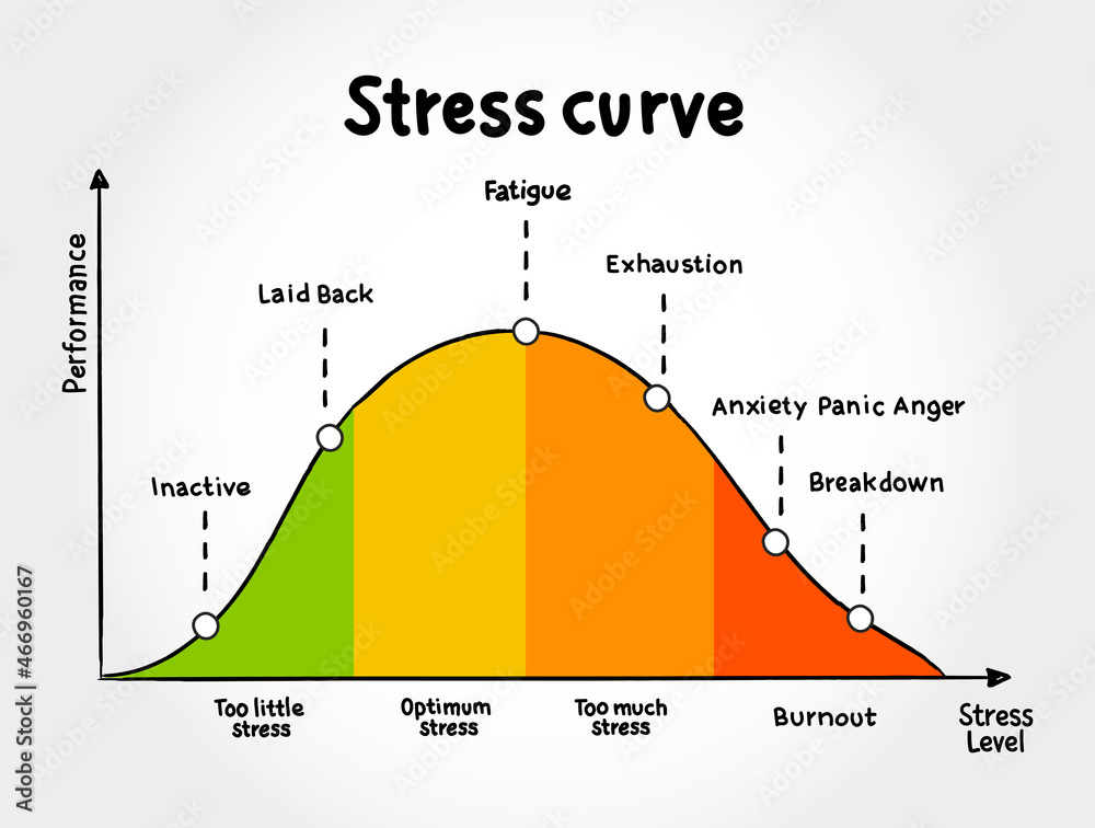 Different stages of the stress curve, educational diagram concept for ...
