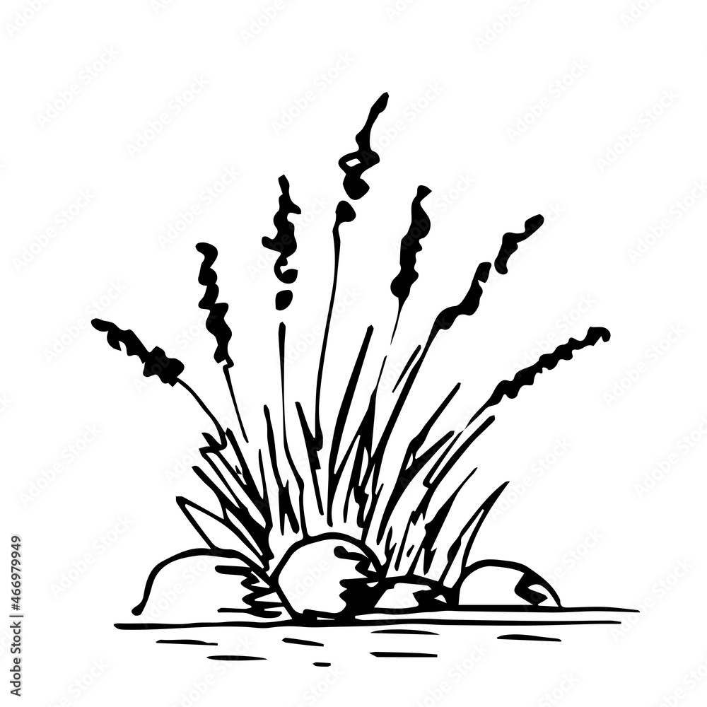 Simple hand-drawn vector drawing in black outline. Lake shore, river ...