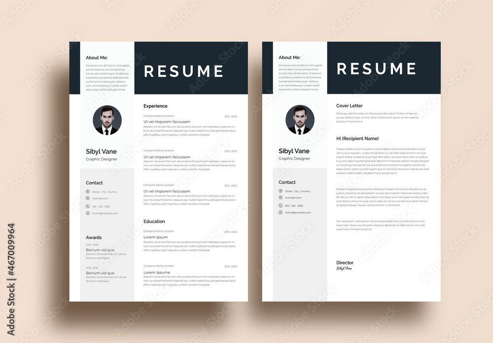 Professional Resume Layout Stock Template | Adobe Stock