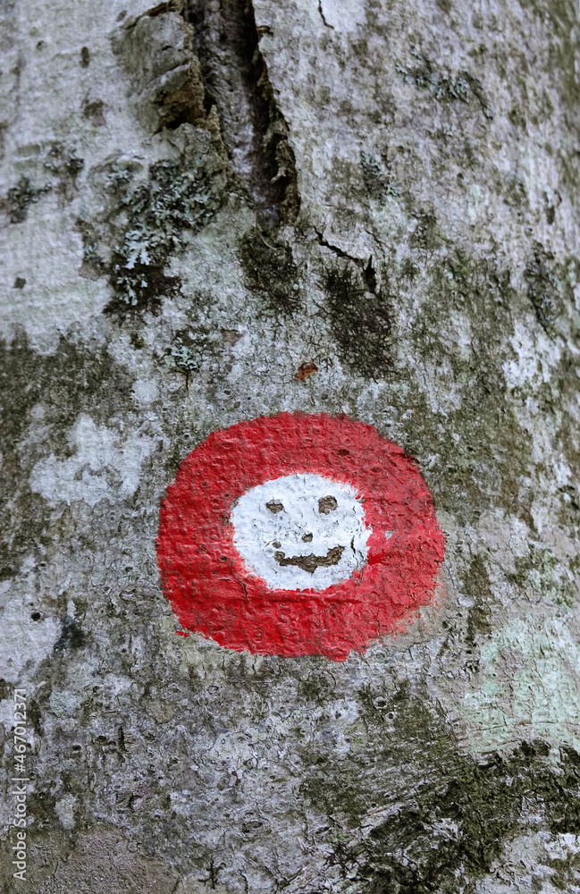Smiley ded and white circle shaped hiking trail sign on a tree. Tourist ...