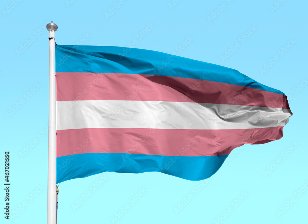 Shot of the transgender flag blowing in the wind with sky background ...