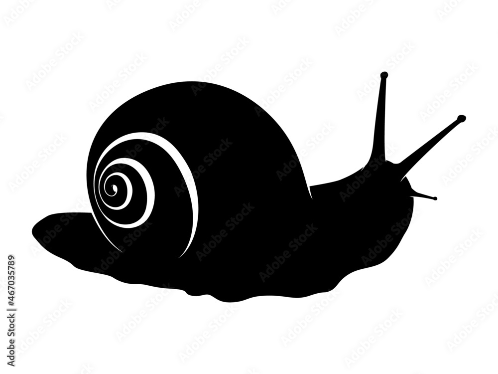 Snail Silhouette on Blank Background. Isolated Vector Animal Template ...