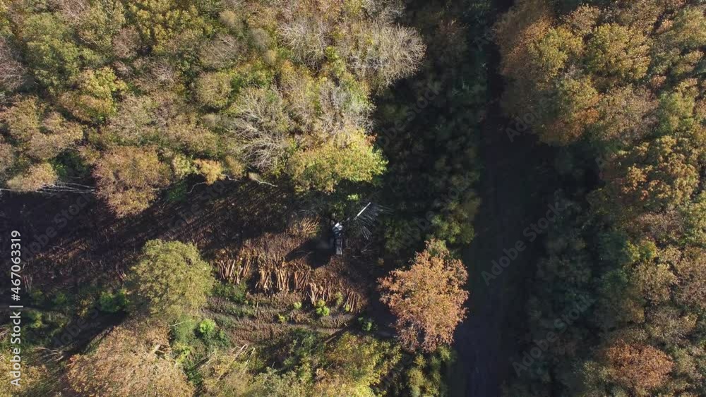 Birds eye view of deforestation taking place in UK. Drone footage in 4K ...