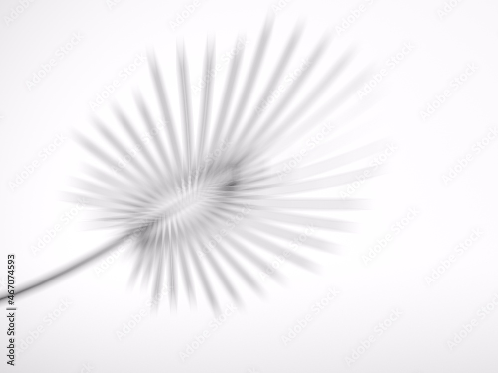 Realistic transparent shadow from a leaf tree on the white background ...