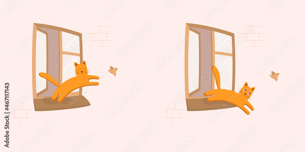 Red cat jumping from opened window while catching bird and fall down ...