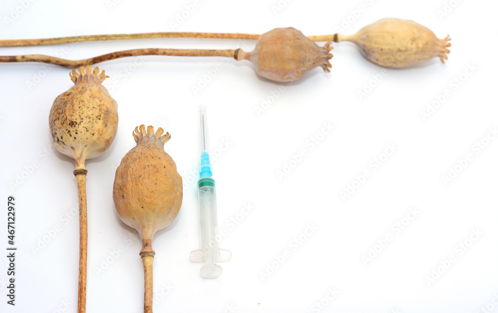 Foto de Narcotics in opium poppy concept. A close-up of opium poppy ...