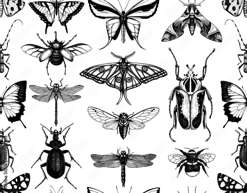 Seamless pattern with hand-sketched insects. Hand drawn beetles, bugs ...