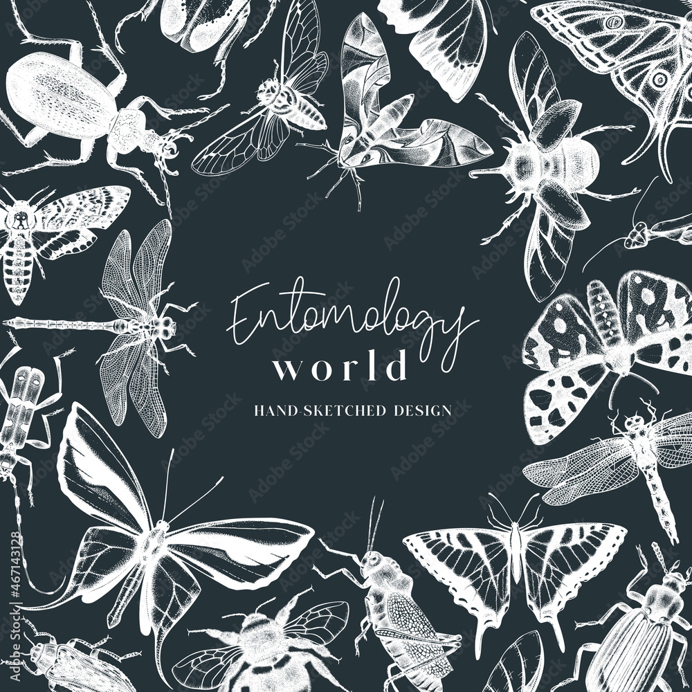 Hand-sketched insect wreath template. Hand drawn beetles, bugs ...