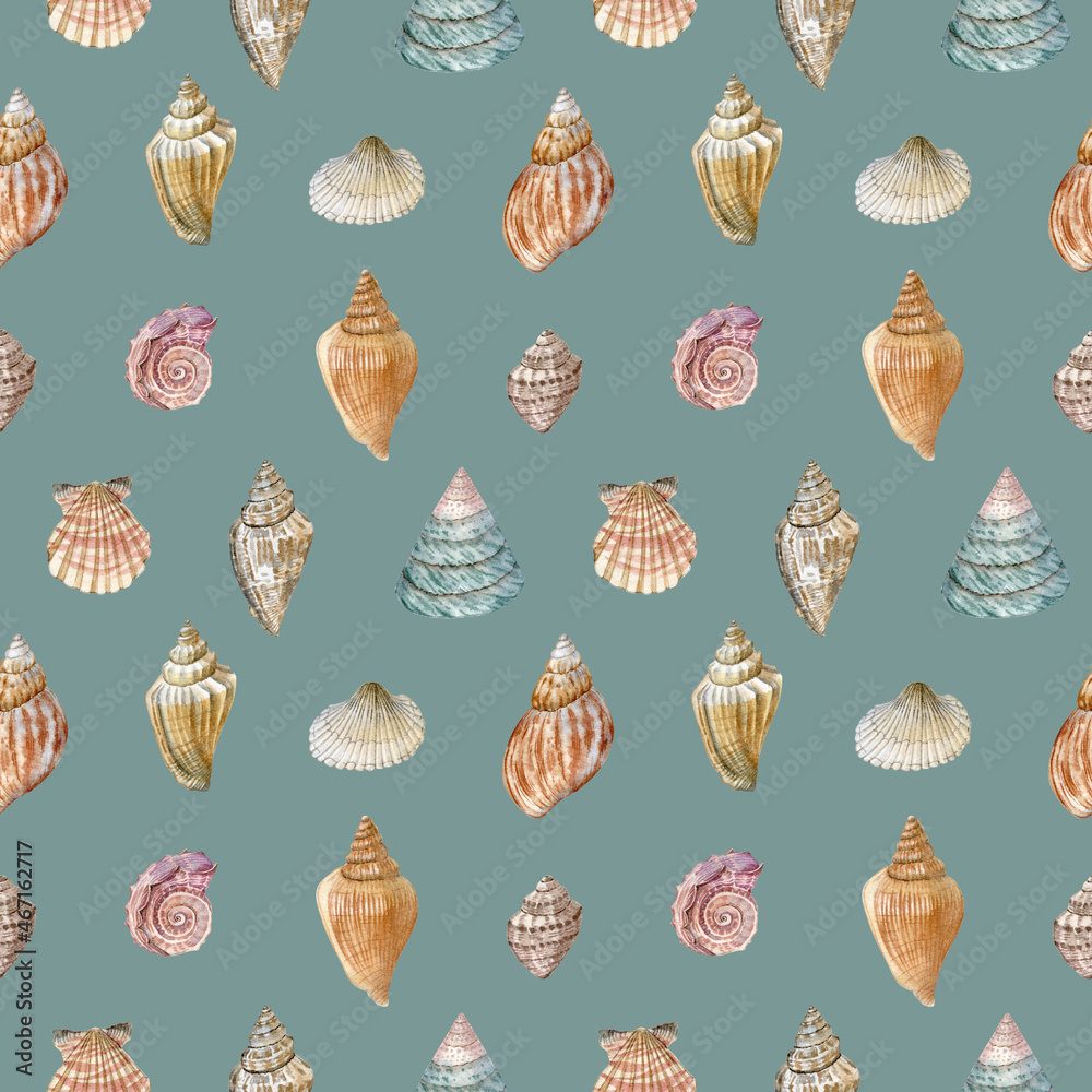 Sea shells watercolor painted seamless pattern. Detailed realistic ...