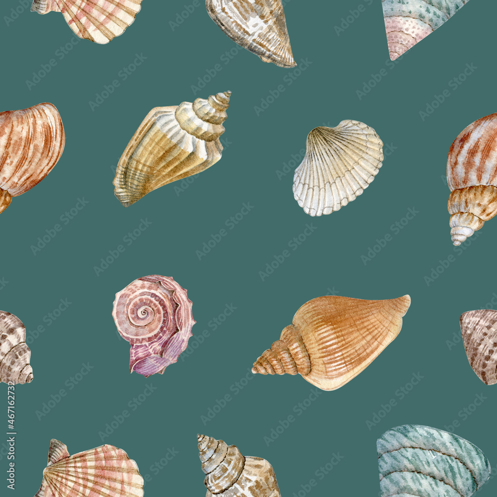 Sea shells watercolor painted seamless pattern. Detailed realistic ...