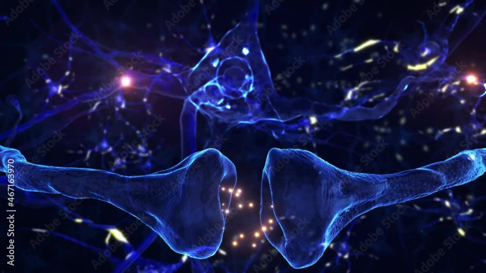 Neurons and Neural Connections 3D Render. Neuronal Activity in the ...