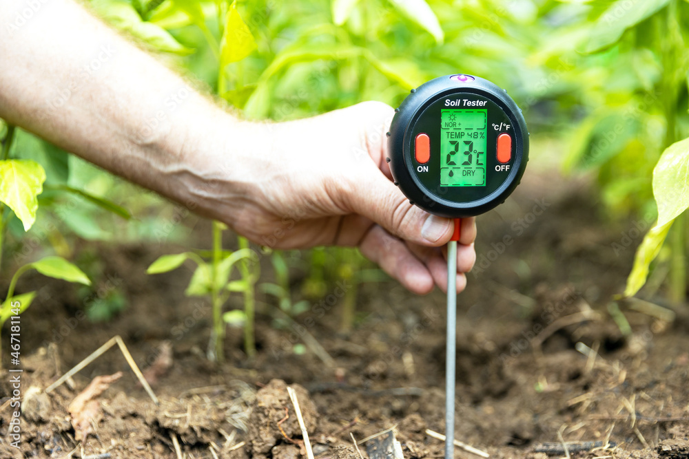 Soil test - measuring temperature and moisture content. Greenhouse ...