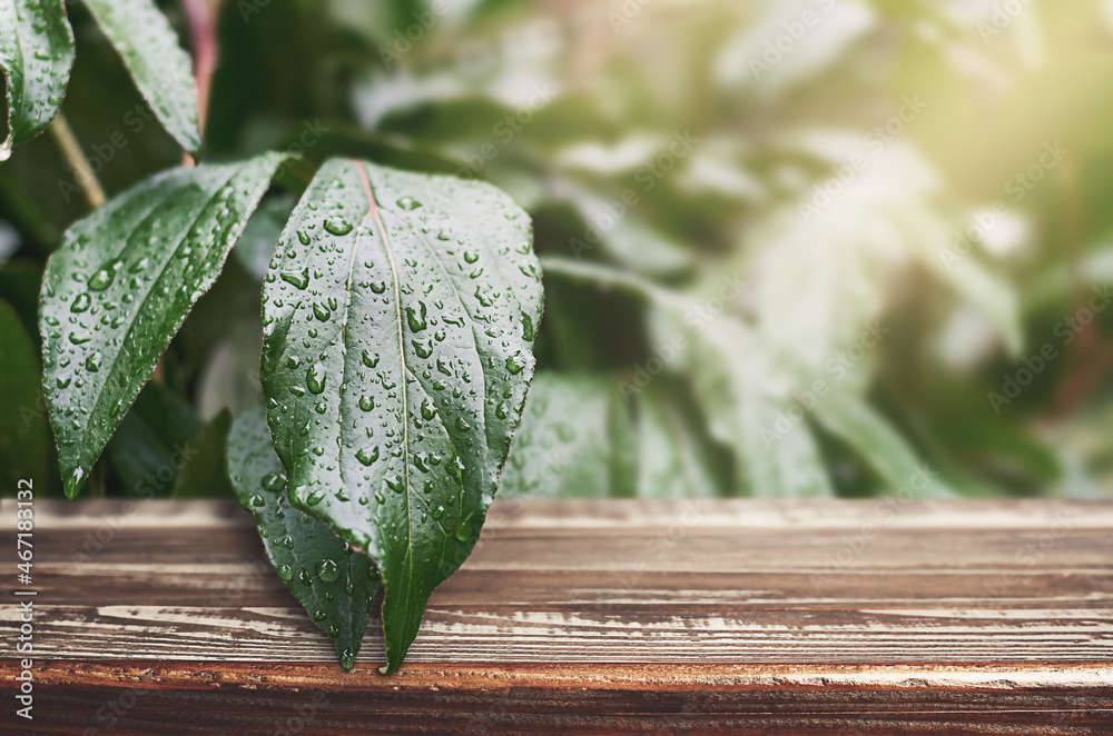 empty wooden table and leaves with raindrops for product advertising ...