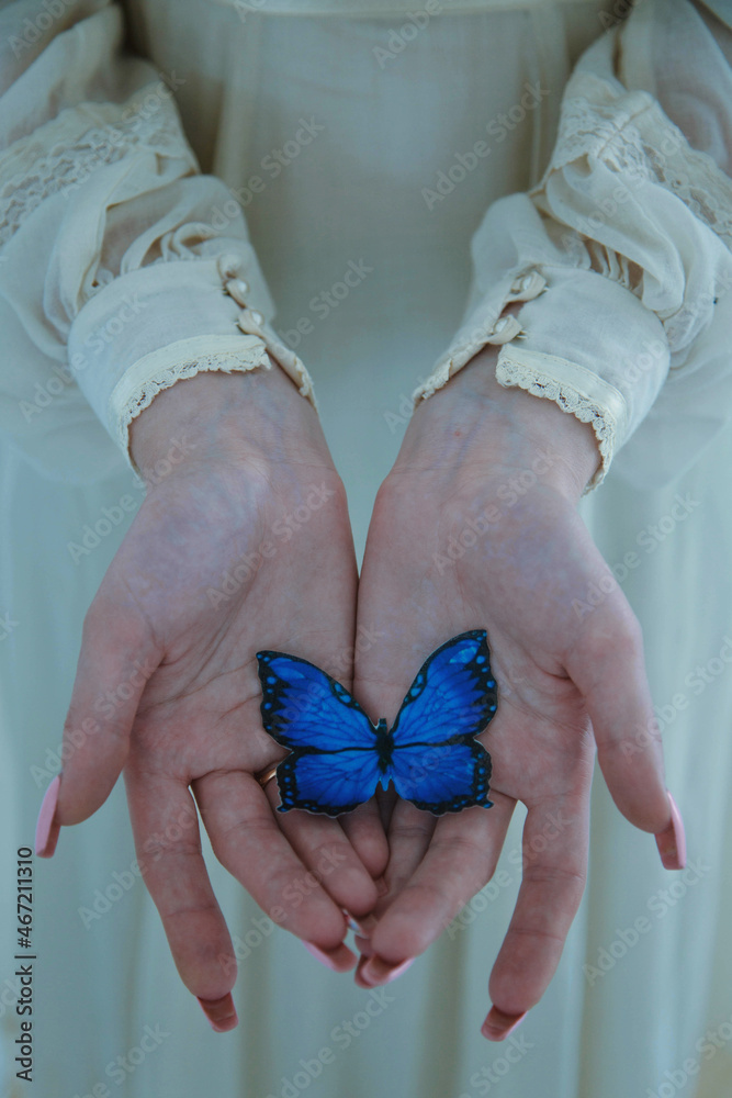 Blue butterfly on persons hand Stock Photo | Adobe Stock