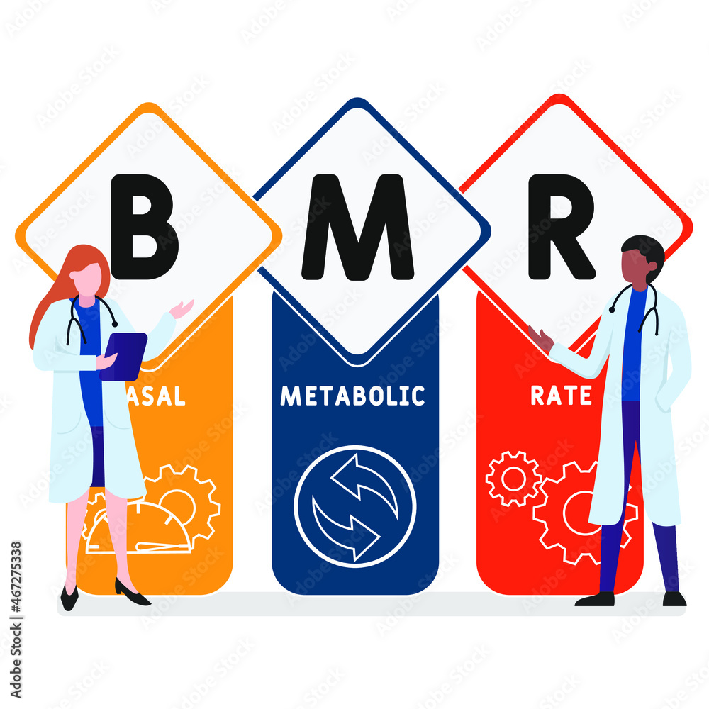 BMR - Basal Metabolic Rate acronym. medical concept background. vector ...