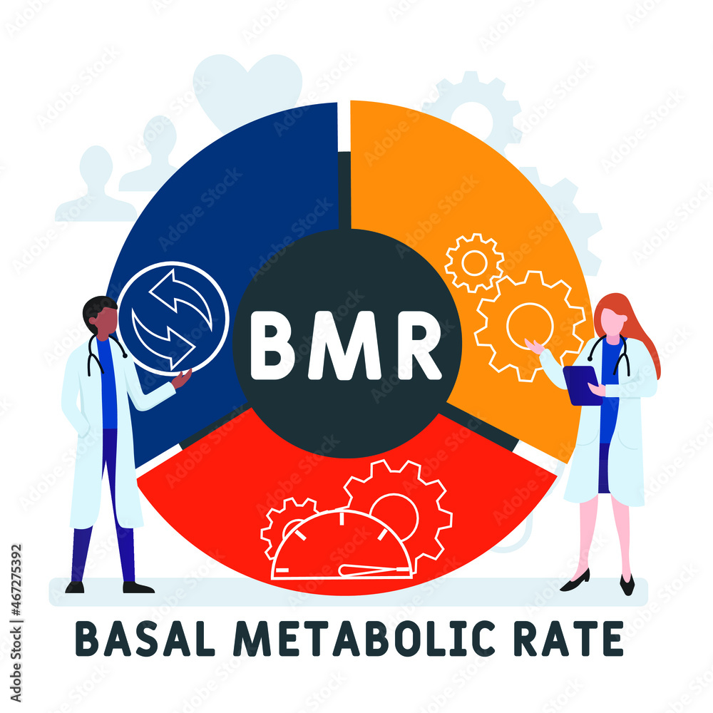 BMR - Basal Metabolic Rate acronym. medical concept background. vector ...
