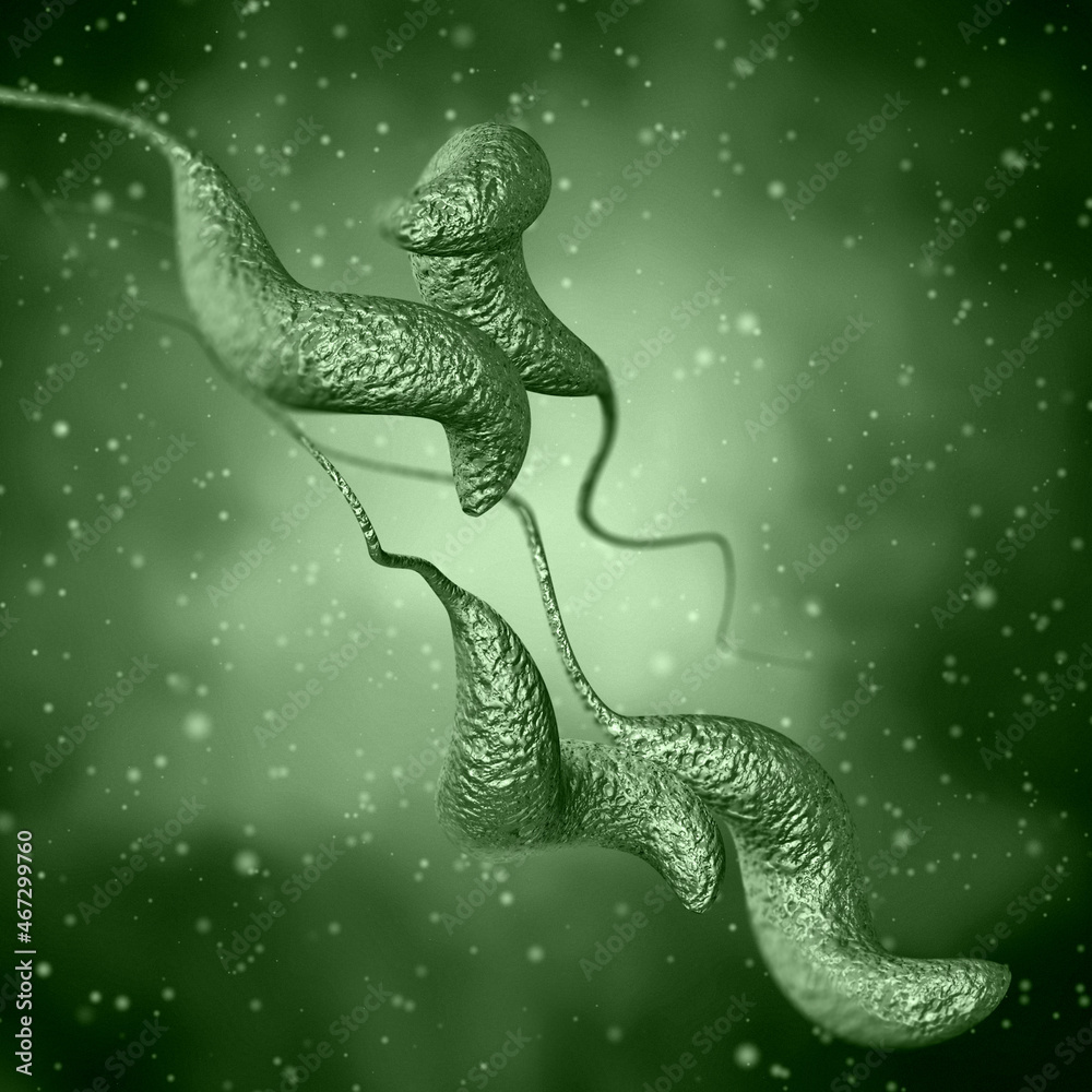 Medical background, bacteria spirilla, curved spiral shape, genus ...