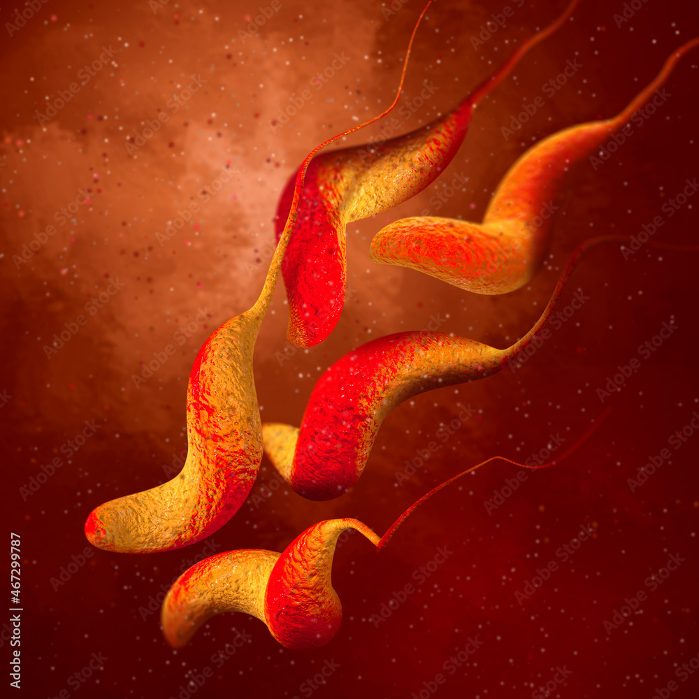 Medical background, bacteria spirilla, curved spiral shape, genus ...