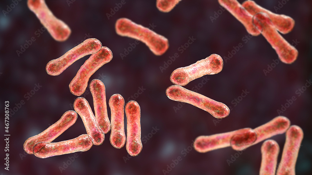 Corynebacterium bacteria, Gram-positive rod-shaped bacterium that ...