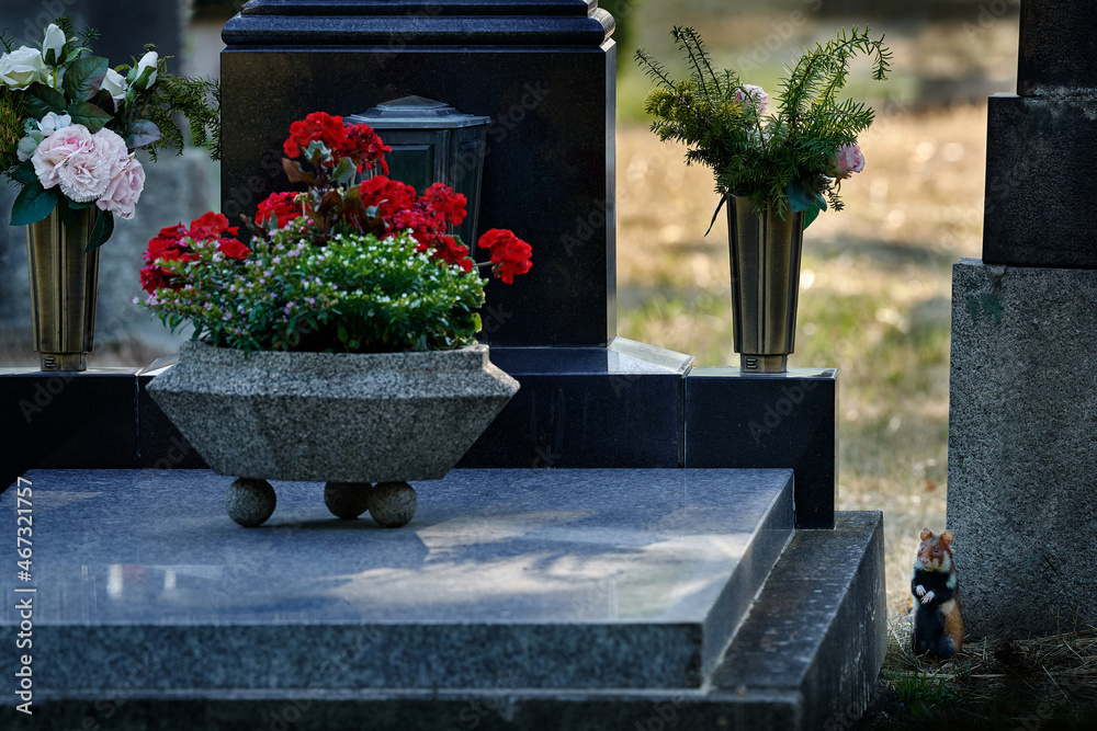 European hamster, Cricetus cricetus, stone tombstone cemetery, Vienna ...