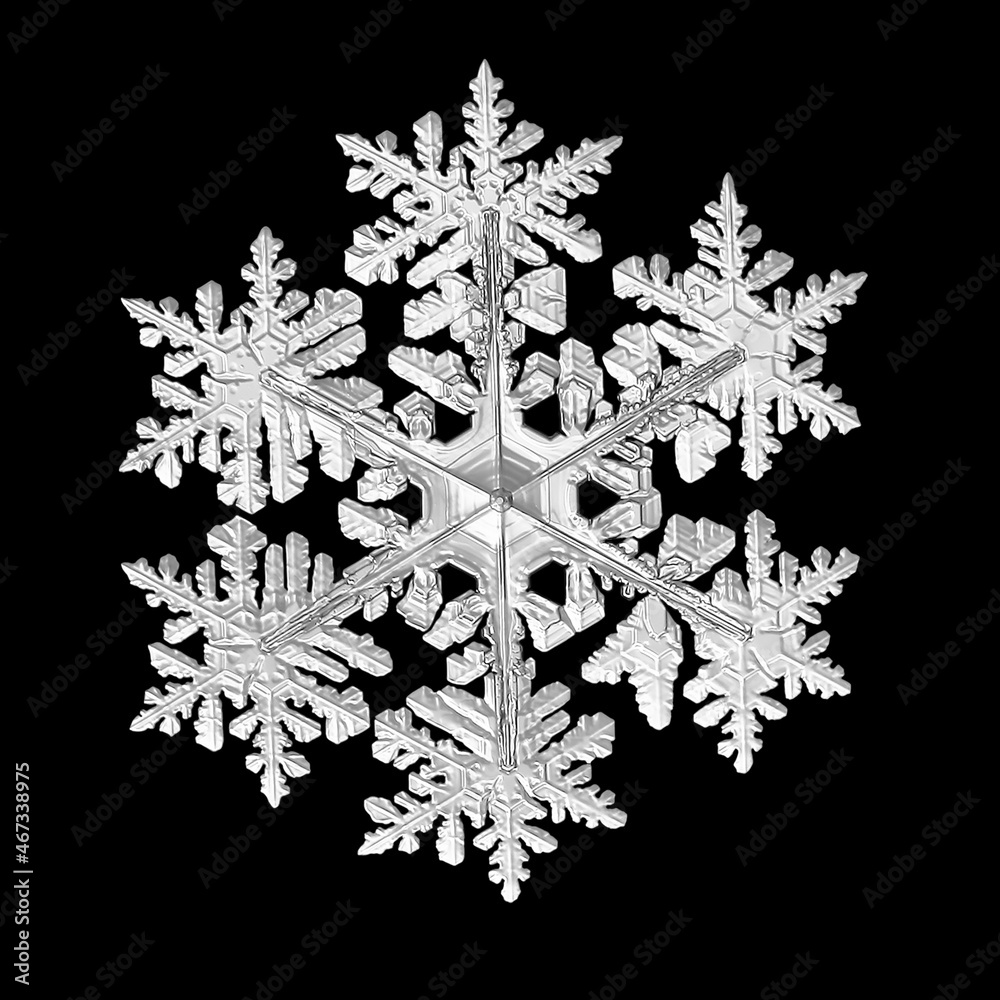 Snowflake isolated on black background. Macro photo of real snow ...