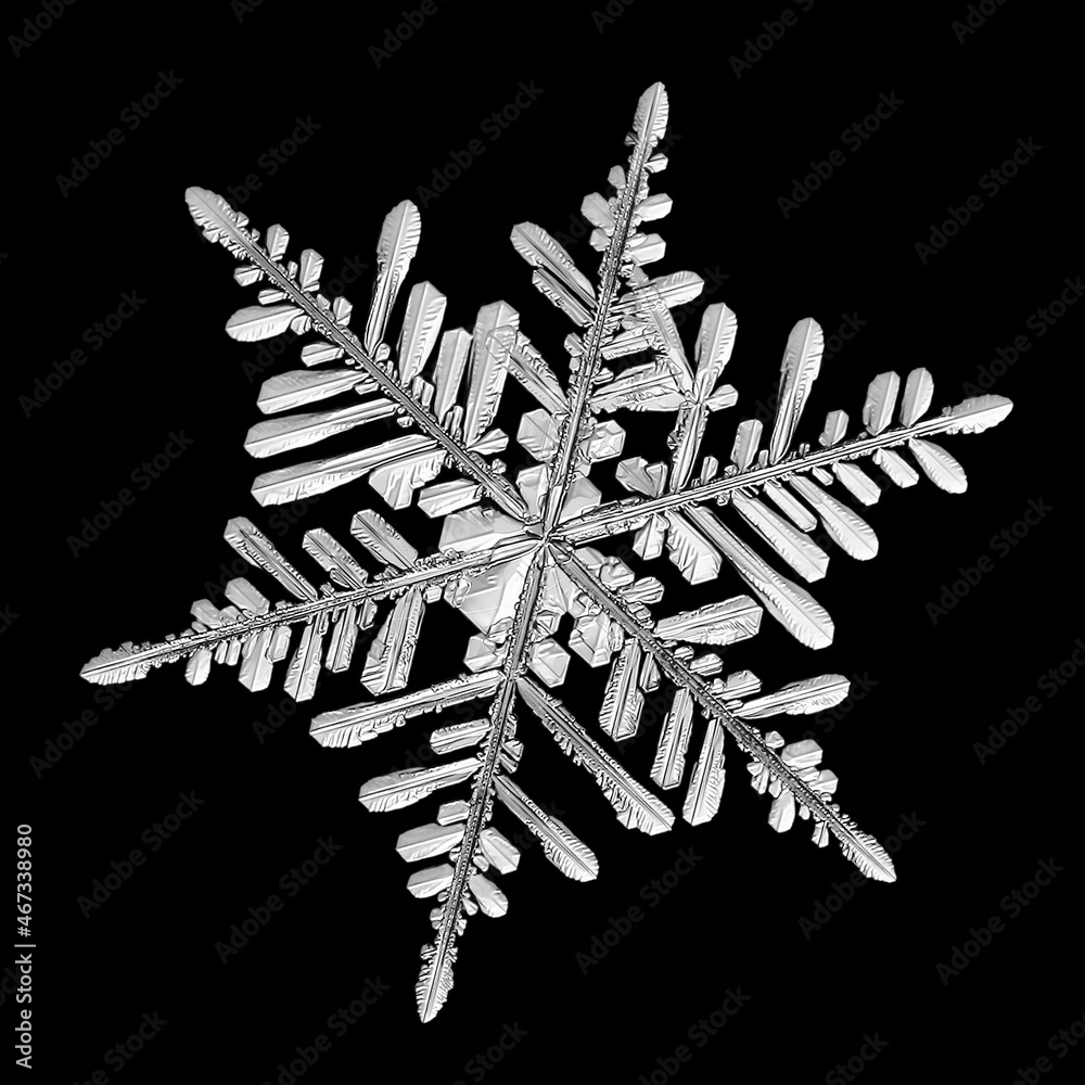Snowflake isolated on black background. Macro photo of real snow ...