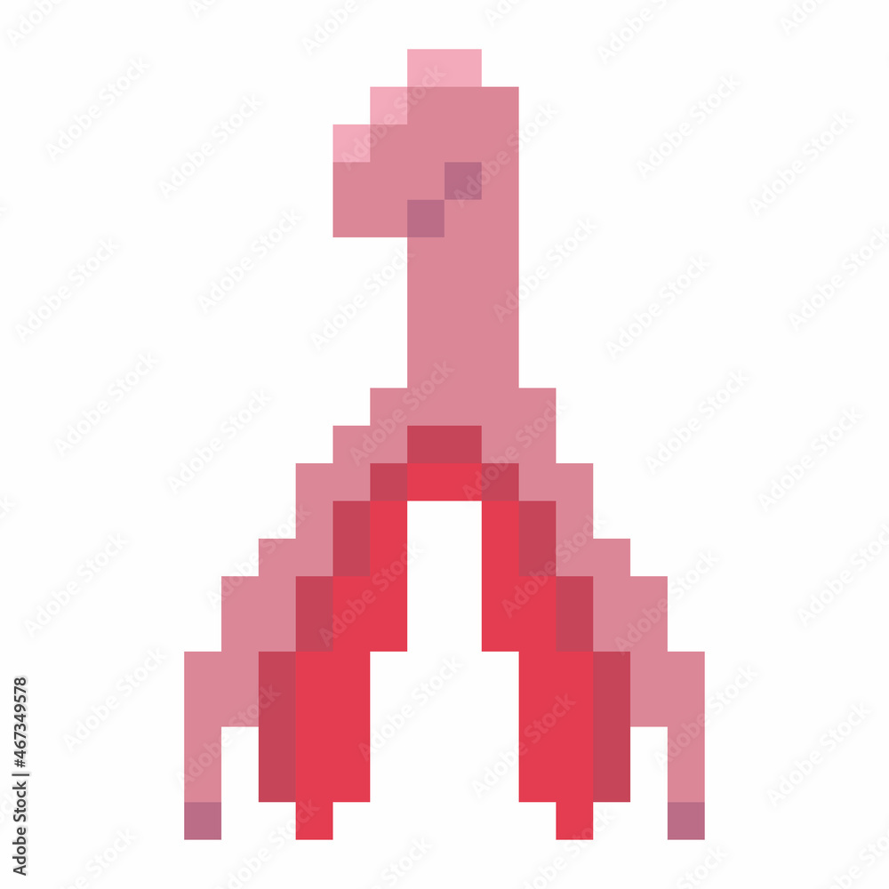 Vector stock graphics image of the female reproductive system and ...