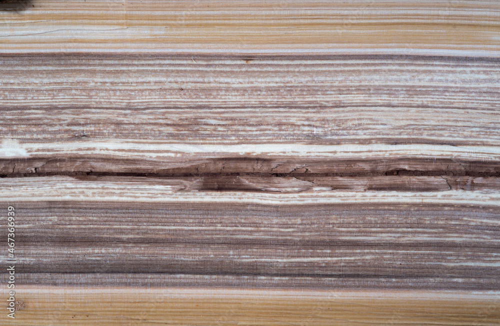 Cross section of natural wood. Split log wooden texture photo with ...