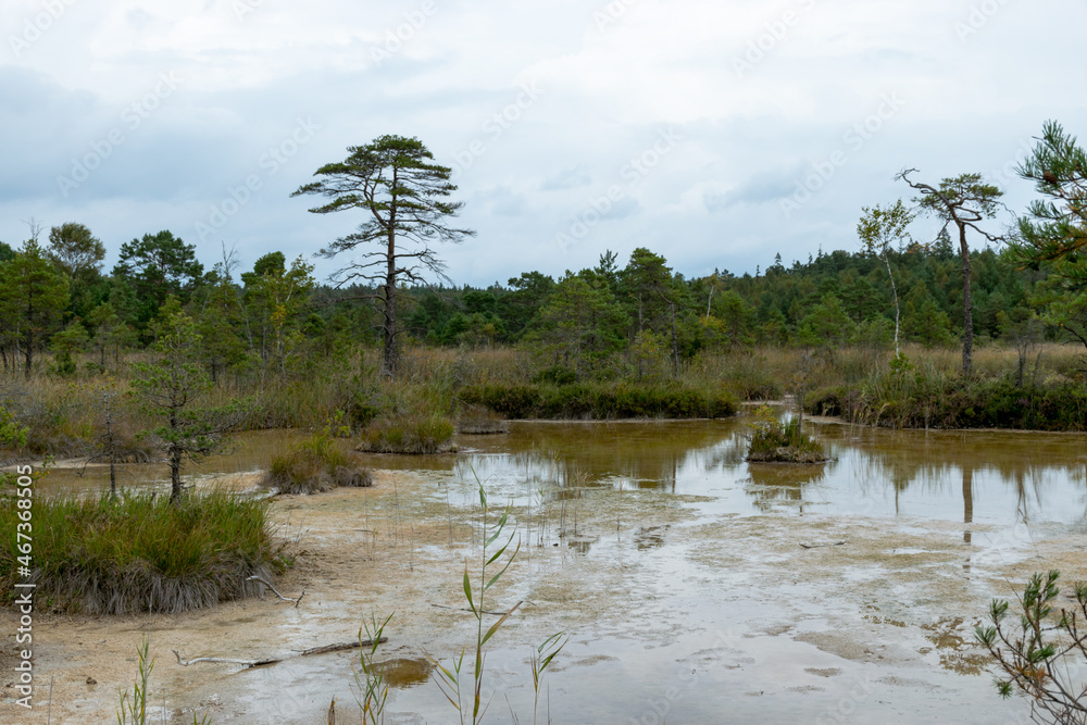Foto de Sulfur Pond, which are water llamas formed on the periphery of ...