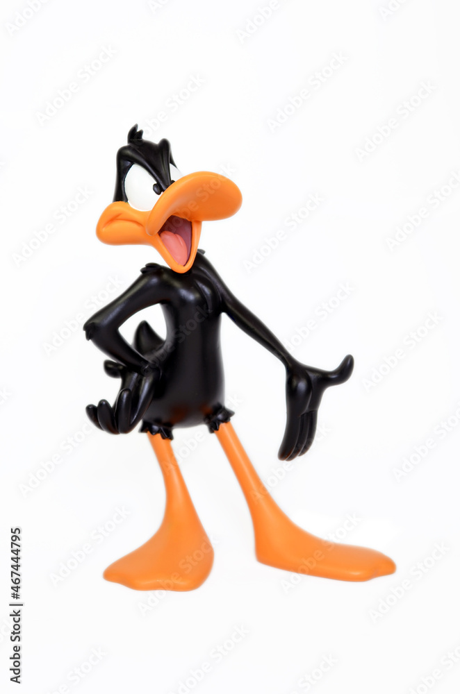 Studio image of Daffy Duck with a white isolated background. Stock ...