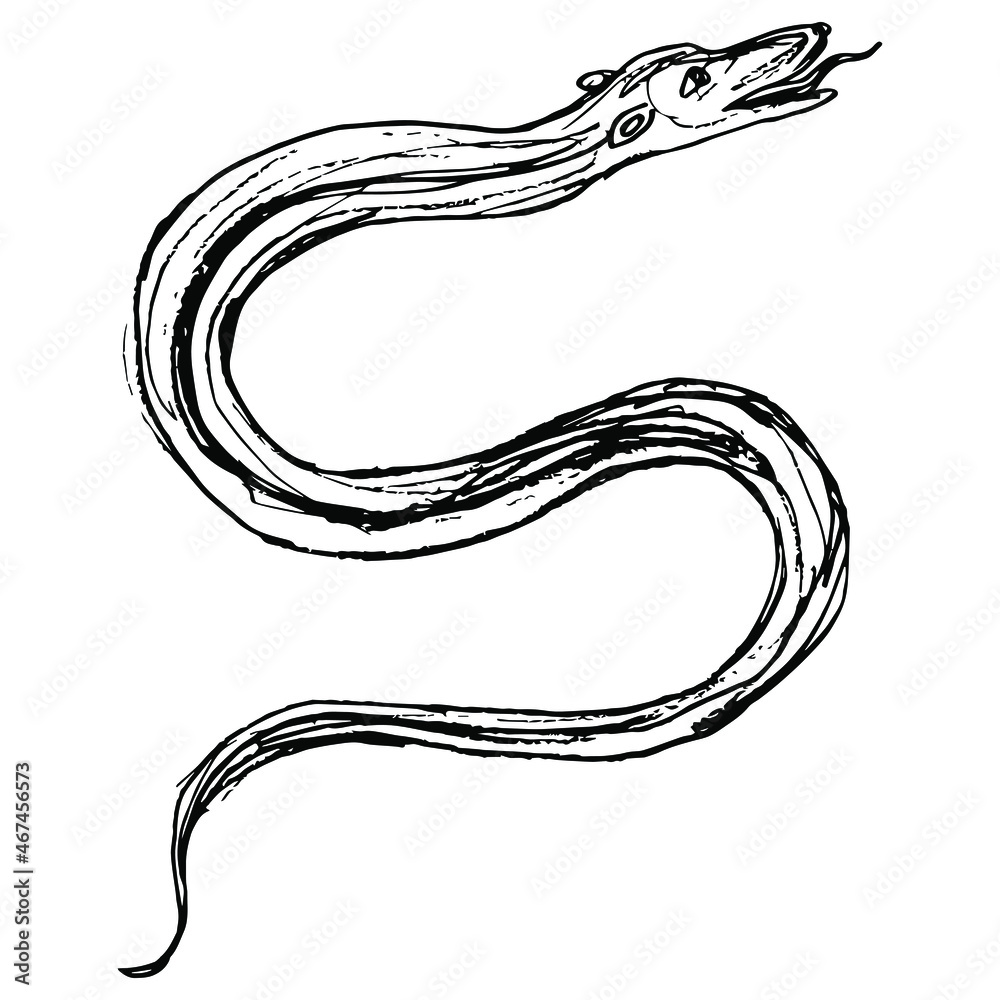 Fantastic snake, serpent or dragon. Medieval animal art. Isolated ...