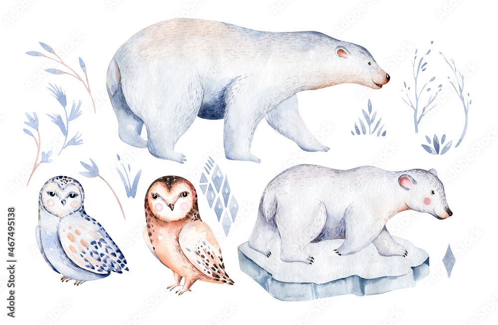 polar owl arctic animals watercolor collection set. snowy owl. polar ...