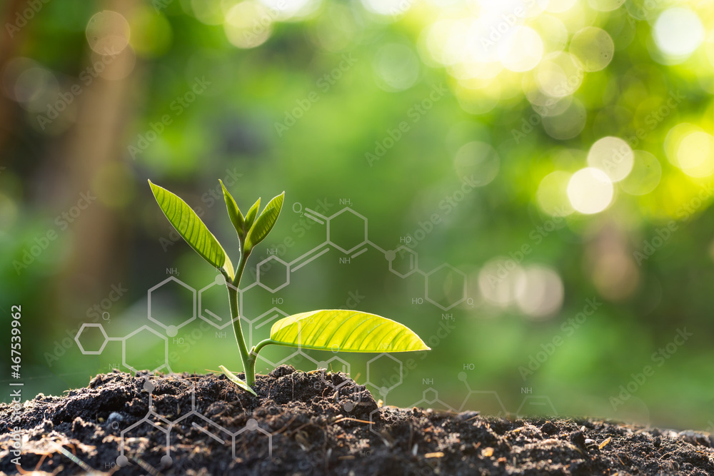 Go green concept, growth tree with biochemistry structure over blurred ...