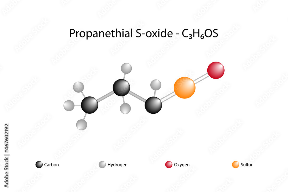 Molecular formula of propanethial S-oxide. Propanethial S-oxide is a ...